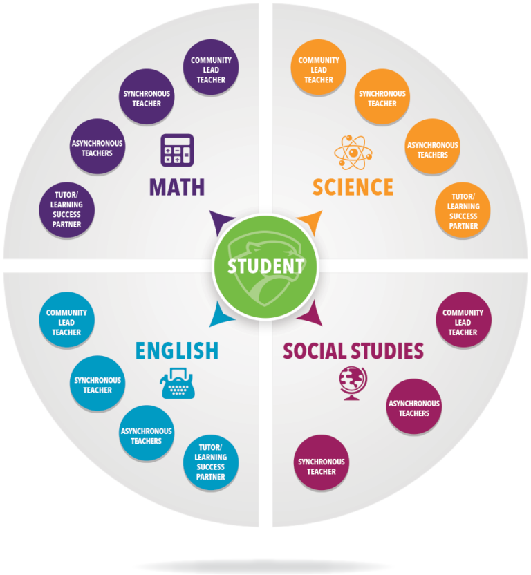 Teacher Support – Primavera Online School