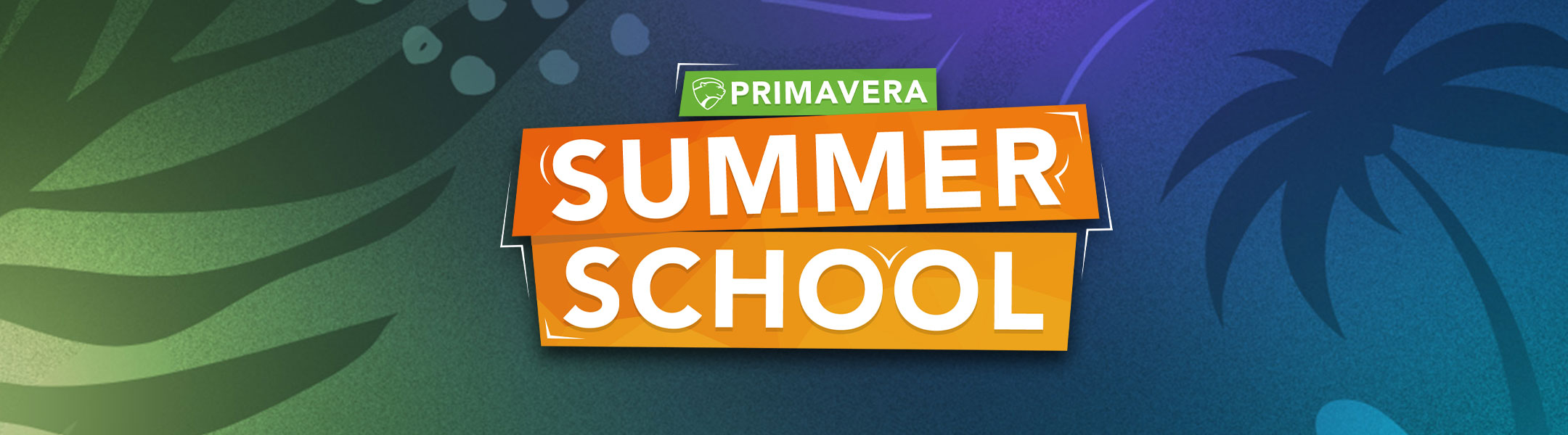 POS-summer-25-banner – Primavera Online School